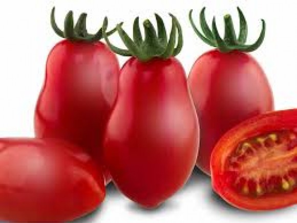 Seminte Mojitos F1 ( 1000 seminte ) - Crop Market
